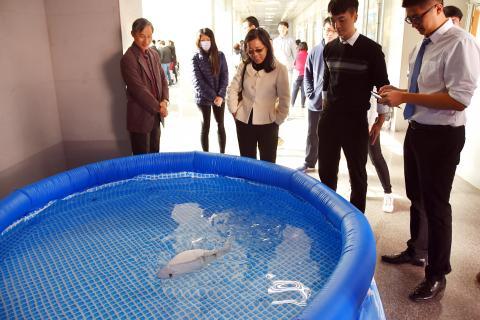 Students’ fish robot wins gold - National Taipei University of Technology